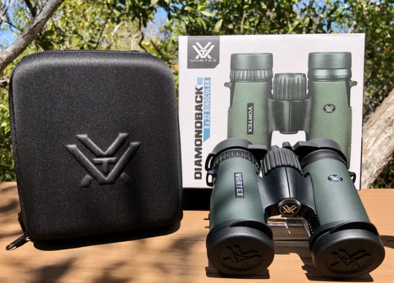 High-Tech Hunting: A Beginner’s Guide to Optics | InfoType