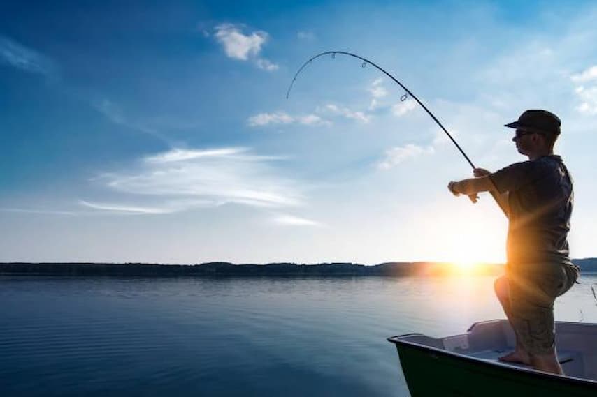 Fish Finders 101: Smarter Fishing with Sonar Technology | InfoType